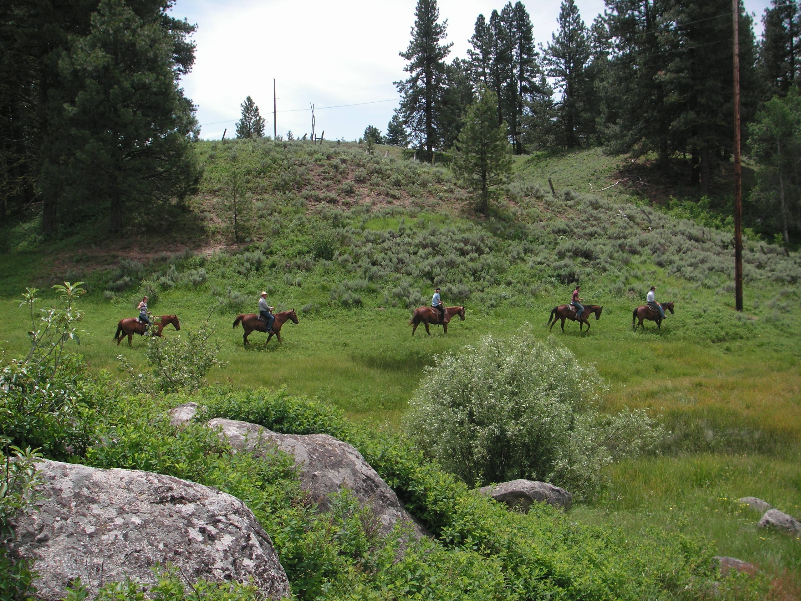 Trail Rides Boise Idaho Mountains @ Idaho Guest Ranch