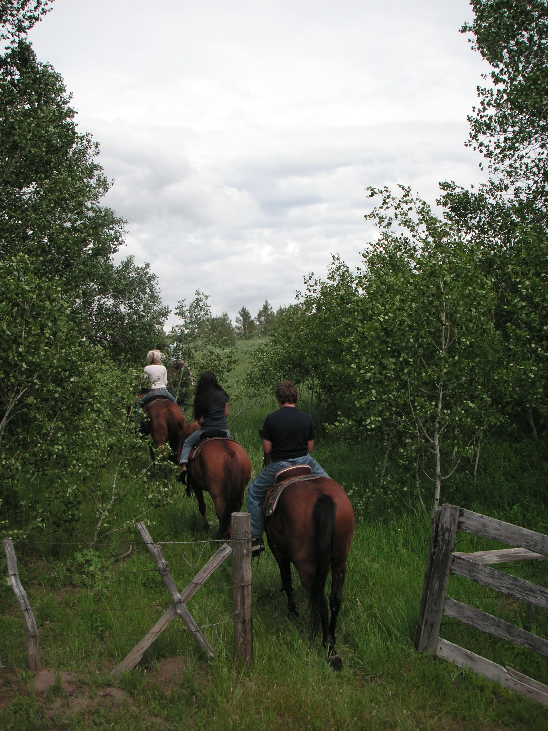 Trail Rides Boise Idaho Mountains @ Idaho Guest Ranch